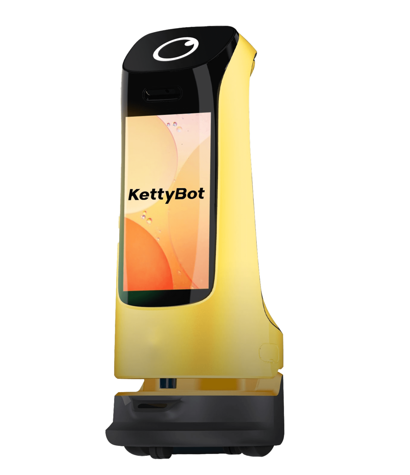 Overview of our service robots - Sebotics